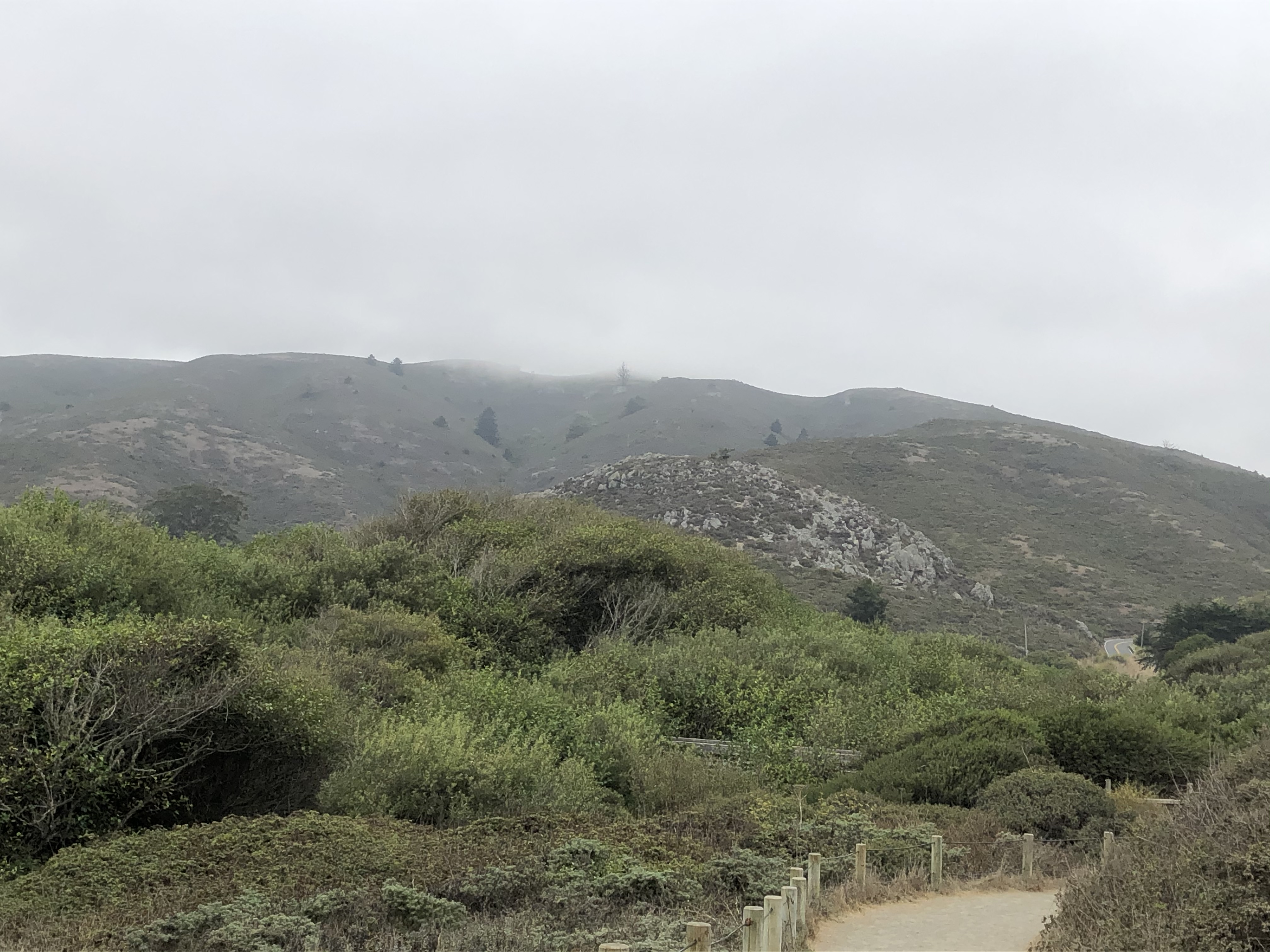 Full Moon Eve – Cathy's Blog!