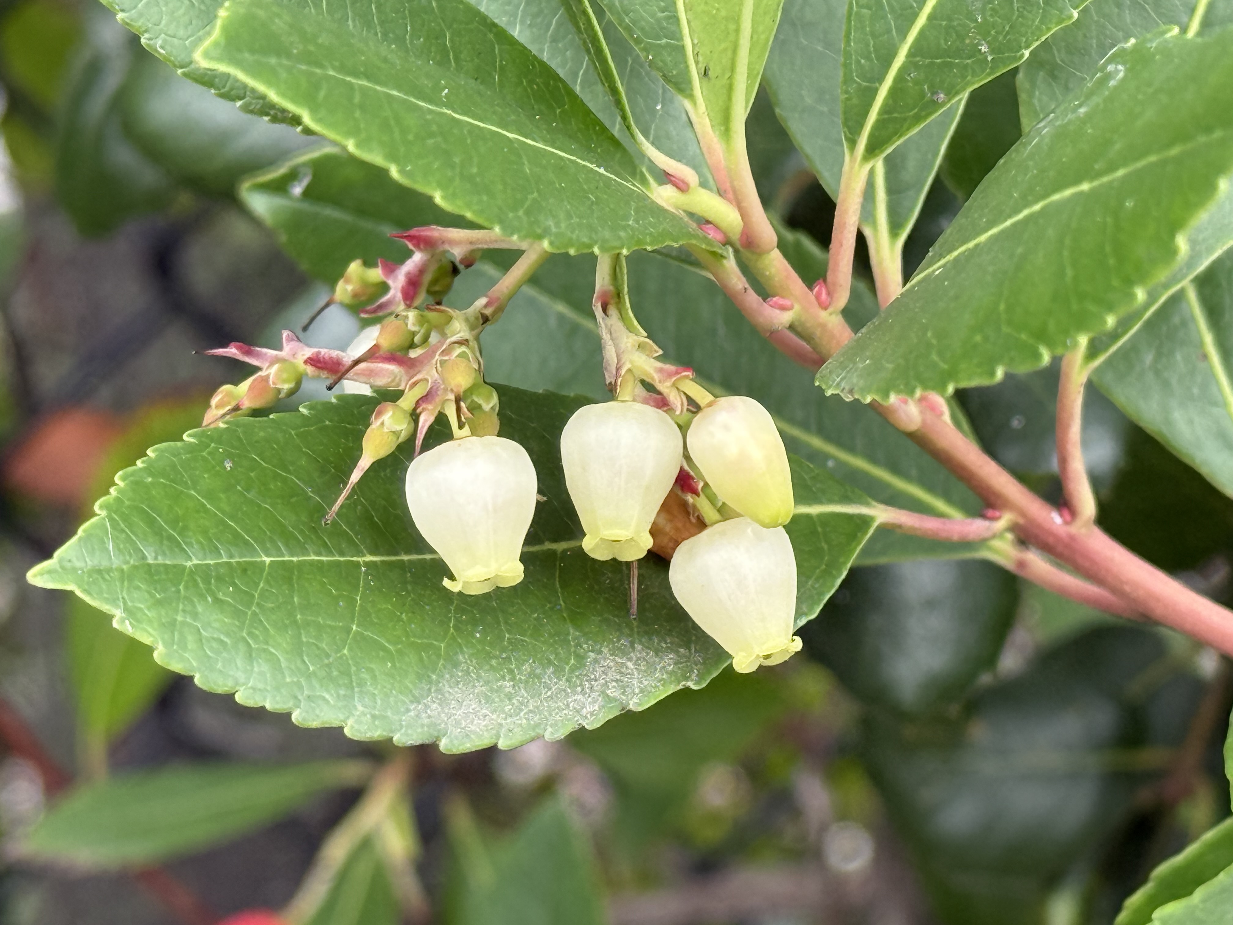 Autumn – Cathy's Blog!