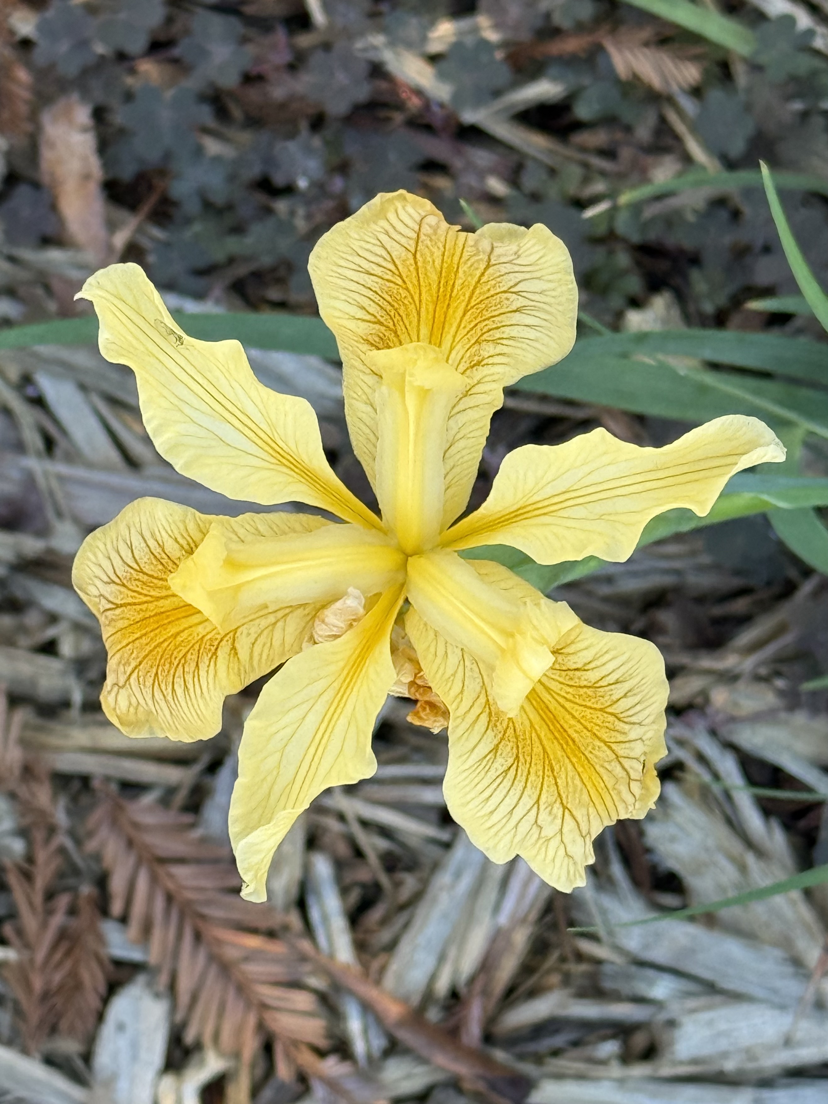 It’s Spring! – Cathy's Blog!