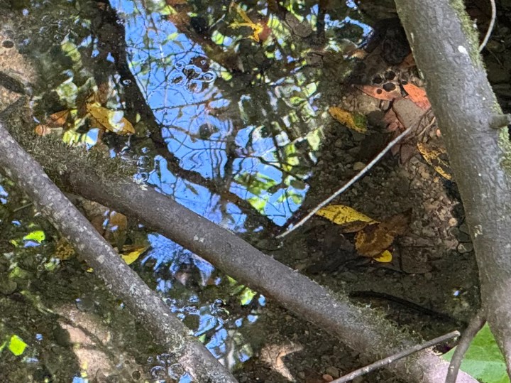 Looking Down – Cathy's Blog!