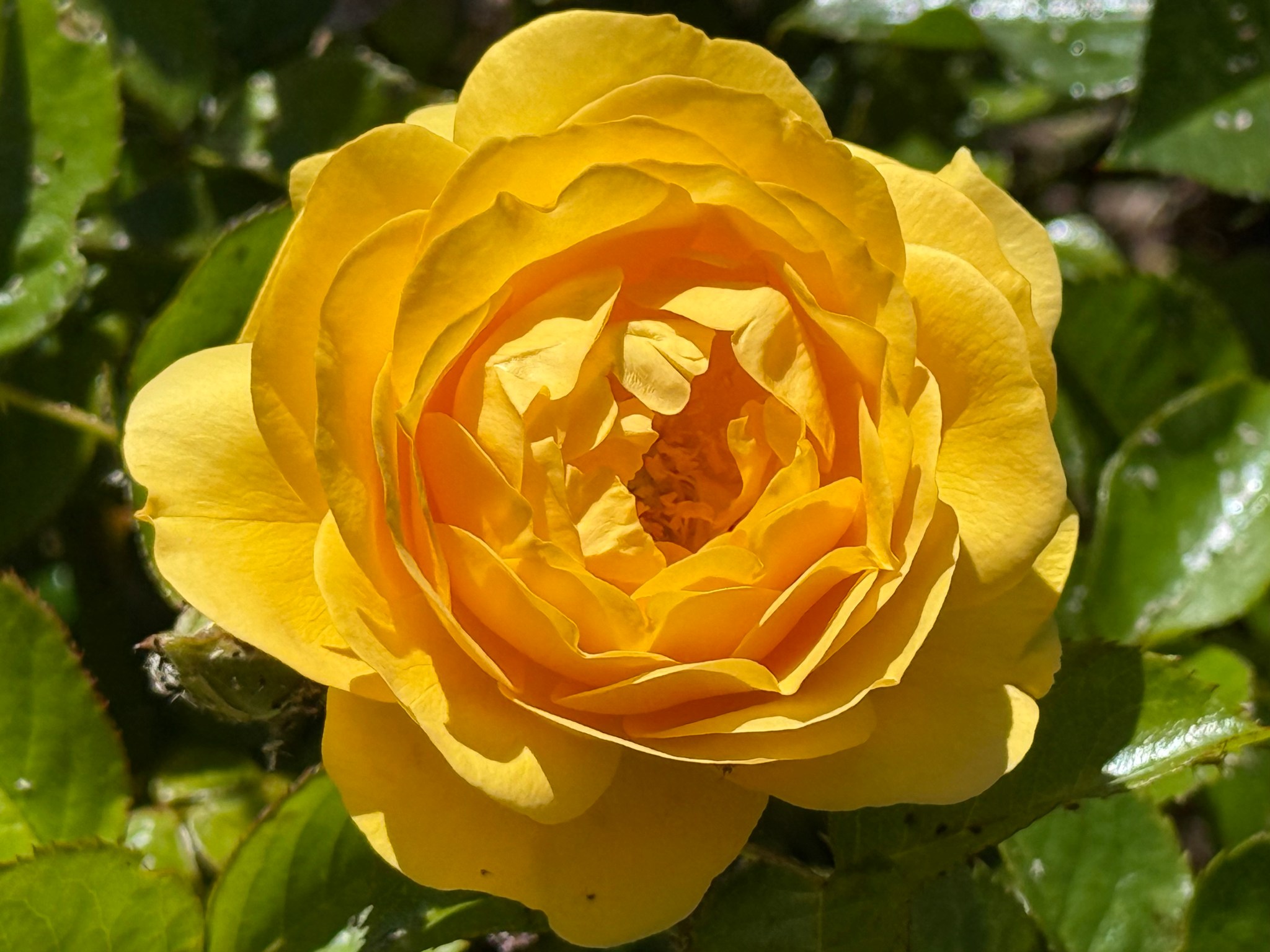 How We See – Cathy's Blog!